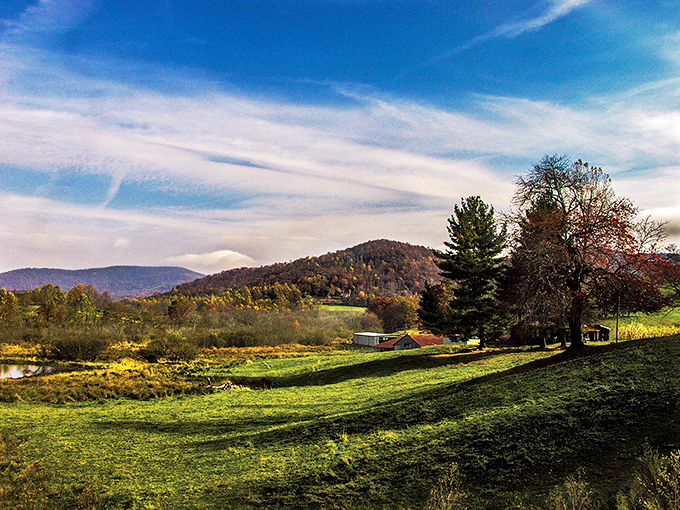 Rolling hills and open meadows define the landscape around Suches. This is social distancing the way nature intended it!