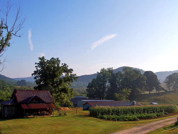 Country living at its finest! Suches' pastoral scene showcases Georgia's farming heritage against a backdrop of misty mountain majesty.