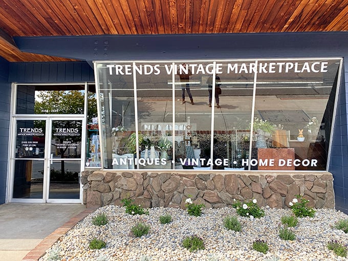 Behind that sleek glass storefront lies a carefully curated collection of yesteryear's finest &ndash; proving "used" and "upscale" aren't mutually exclusive.