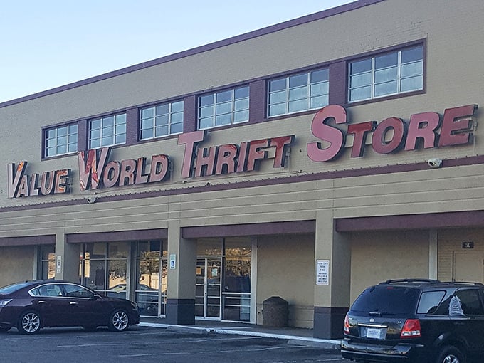 Those simple windows hide a universe of possibilities—where yesterday's discards become tomorrow's treasures for the patient hunter.
