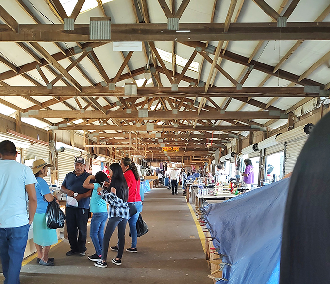 Shoppers stroll through this Greenville institution with purpose. The holy grail of bargain hunting awaits around every corner!