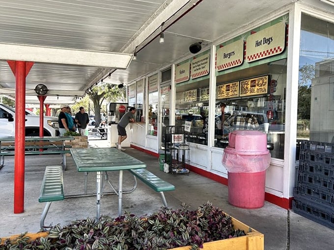 The outdoor dining area offers no frills, just picnic tables where memories are made. Some of life's best conversations happen over wax paper and napkins.