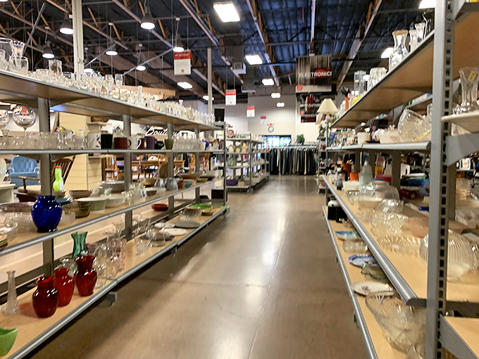 Crystal canyon &ndash; where vintage glassware gleams under fluorescent lights. That cobalt blue vase would make even supermarket flowers look like they came from a royal garden.