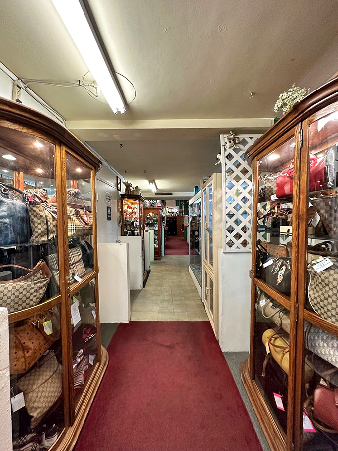 Designer bags line this elegant runway of a hallway &ndash; Gucci and friends waiting patiently for their next adventure with someone who appreciates their pedigree.