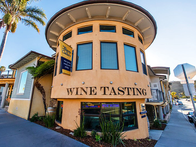 Wine tasting with an ocean view &ndash; because somehow cabernet tastes better when paired with the soundtrack of crashing waves and seagull commentary.