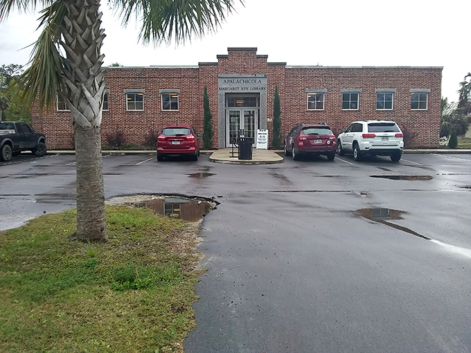 Even the Apalachicola library looks like it belongs in a coastal painting&mdash;a brick testament to the area's commitment to preserving its small-town charm.