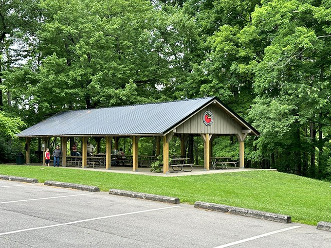 This pavilion proves that simple shelter can feel like five-star dining when surrounded by nature.