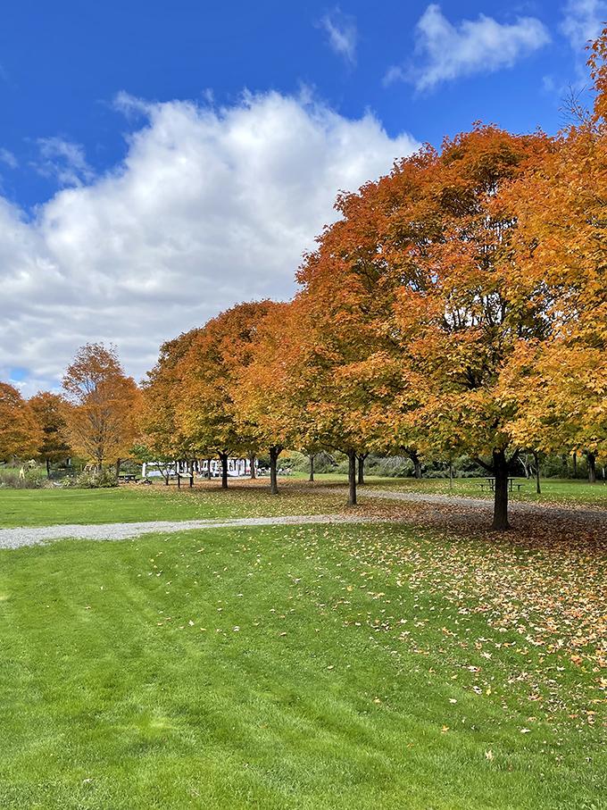 Autumn transforms the park into nature's fireworks display&mdash;no loud noises, just maple trees showing off their fashion sense against October's blue canvas.