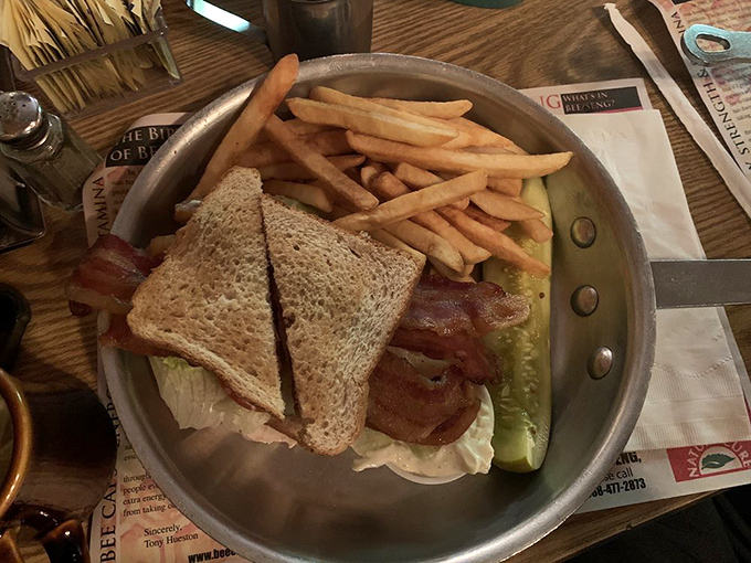 The humble BLT, elevated to art form. The bacon's crispy wave forms perfectly between toast shores, with fries standing by for the inevitable encore.