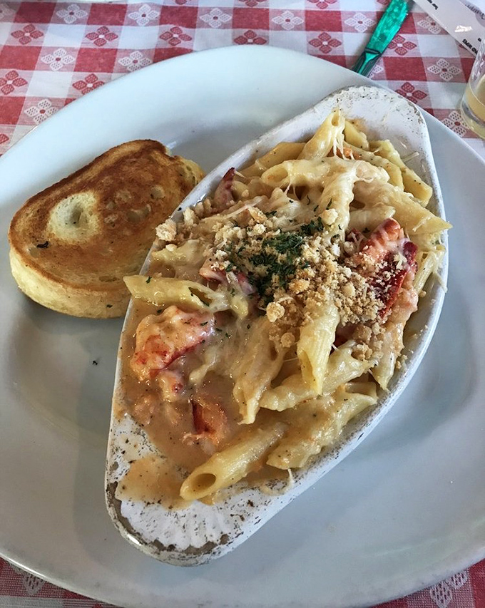 Mac and cheese graduated from comfort food to luxury when it invited lobster to the party. That golden-brown crust deserves its own fan club.