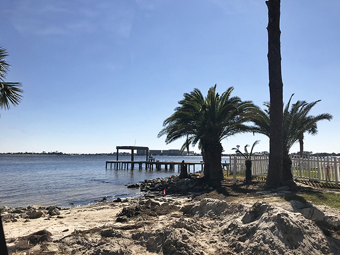 Palm trees standing guard over peaceful waters&mdash;nature's version of affordable waterfront property that doesn't require winning the lottery.