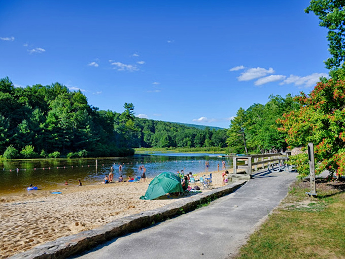 Summer's perfect equation: sand + water + sunshine = the Pennsylvania beach day you didn't know you needed.