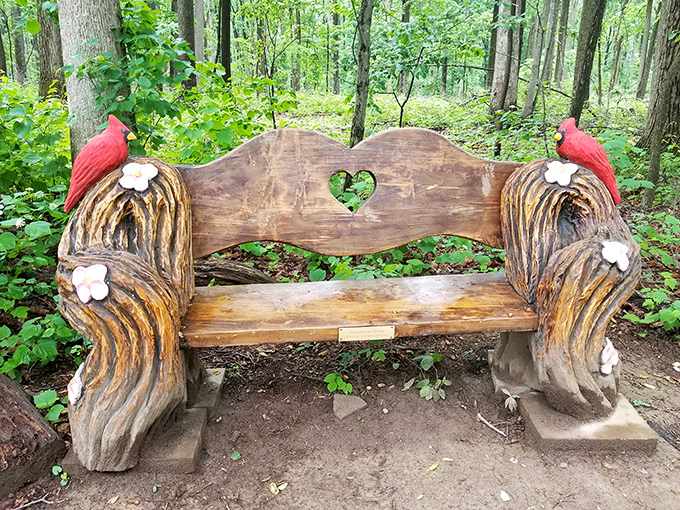 Not just any bench&mdash;a woodland masterpiece with cardinal guardians. The perfect spot for catching your breath or contemplating life's mysteries.