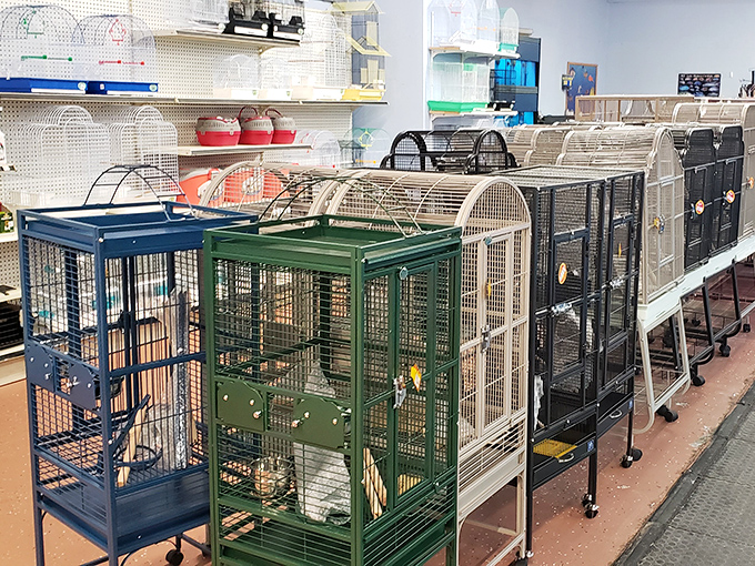 Victorian elegance meets flea market charm&mdash;your grandmother's dream decor at prices she'd actually approve.