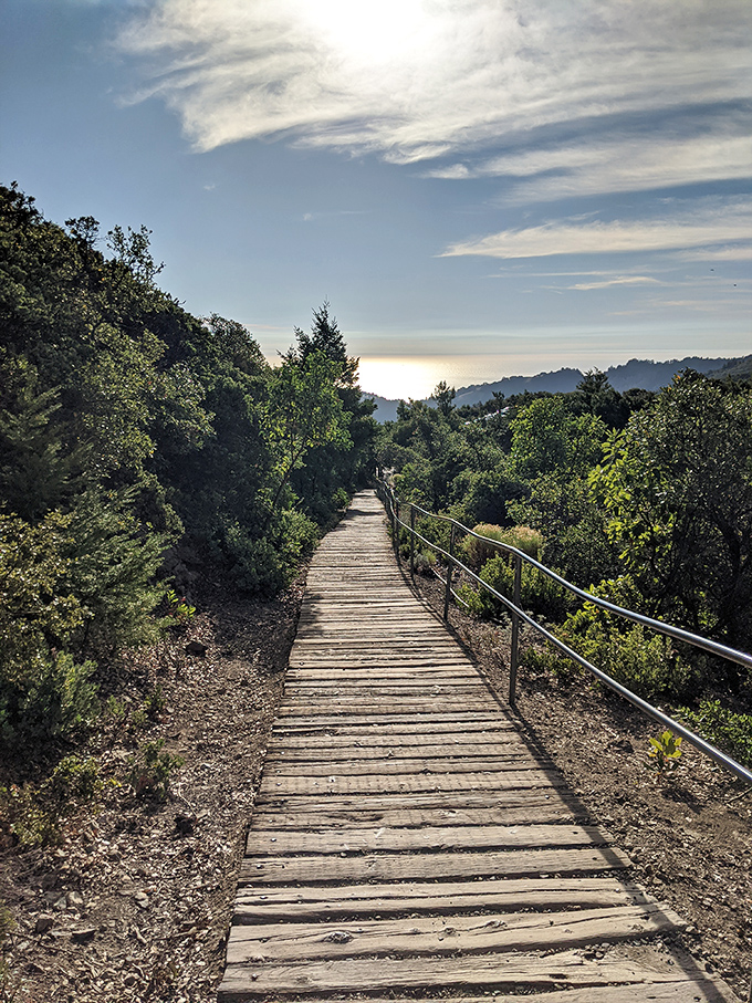 This wooden boardwalk leads to views that'll make your Instagram followers think you've splurged on professional photography. You haven't. It's just that good.