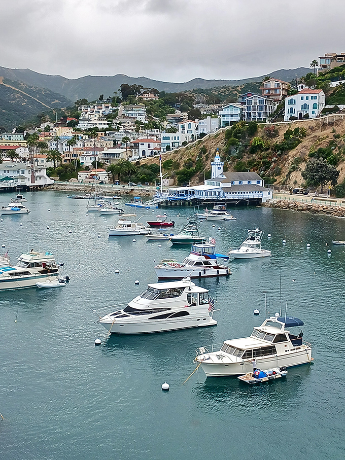 Boats bob in Avalon Harbor like toys in a bathtub, their owners temporarily abandoning mainland stress for island time.