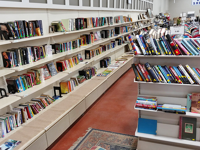 Bookworms rejoice! These shelves hold literary adventures waiting to be rediscovered for less than the price of a coffee.