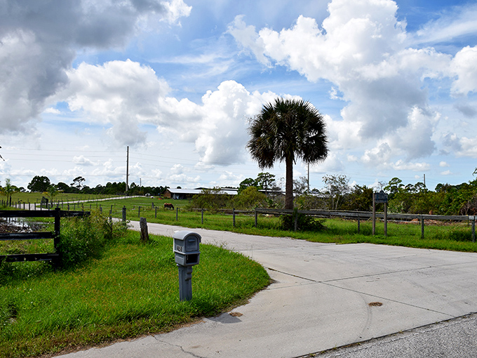 Rural charm persists in Grant-Valkaria's open spaces. Where mailboxes stand sentinel along country roads and neighbors still wave as they drive by.