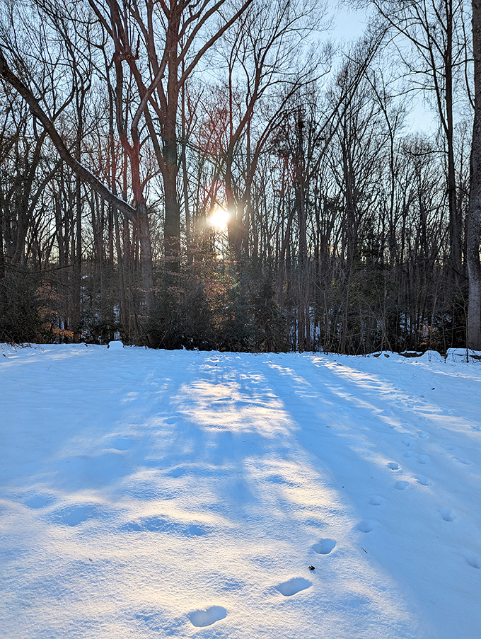 Winter transforms familiar trails into pristine wonderlands. Those footprints tell stories of the brave souls who ventured out.