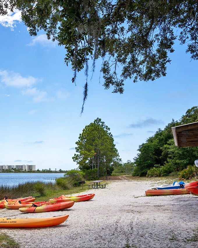 Conservation Park's kayak launch proves that luxury experiences don't require luxury prices&mdash;just a paddle, a sense of adventure, and a Social Security check.