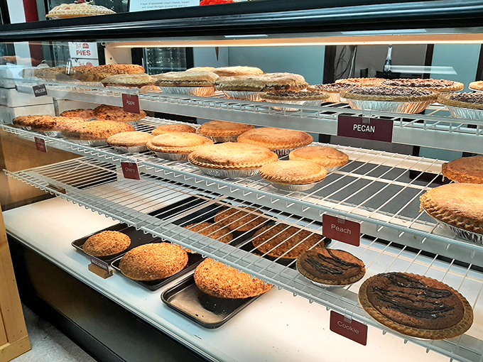 The display case&mdash;a museum of edible masterpieces where every shelf tells a different delicious story.