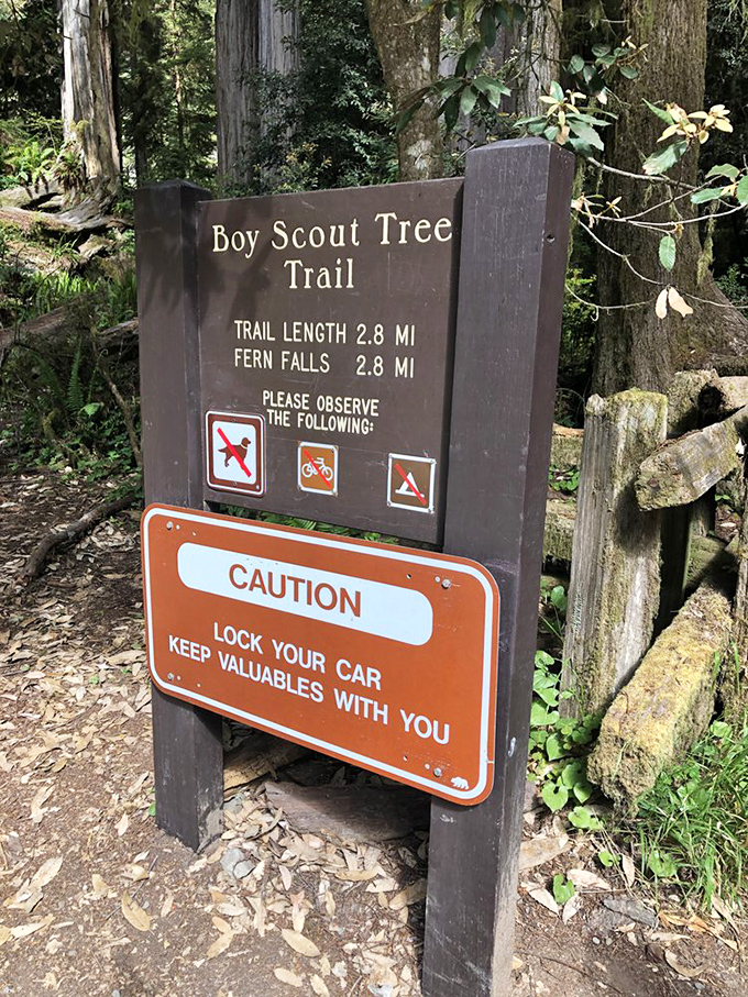 This trail sign should really read: "Caution: Prepare for neck strain from looking up and moments of existential awe that may alter your perspective on life."