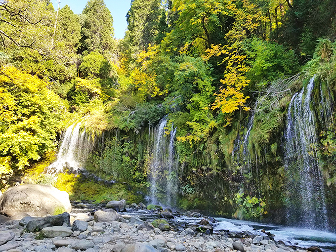 Mossbrae Falls cascades like nature's curtain call, surrounded by autumn foliage. Water therapy doesn't get more spectacular than this hidden gem.