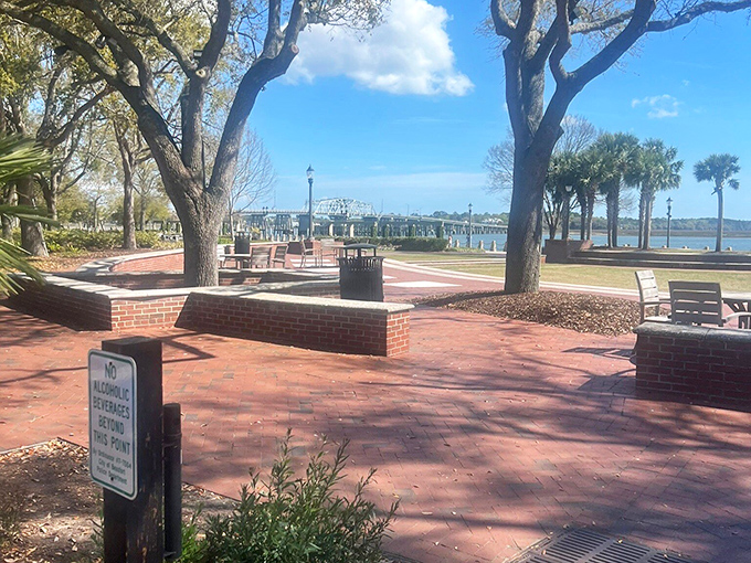 Beaufort's waterfront park offers front-row seats to nature's daily performance. Dolphins included in the admission price&mdash;which happens to be free.