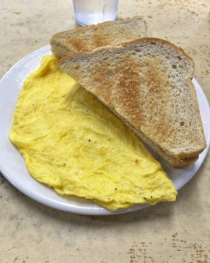 An omelet so perfectly executed it deserves its own cooking show. That toast is the supporting actor who secretly steals the scene.