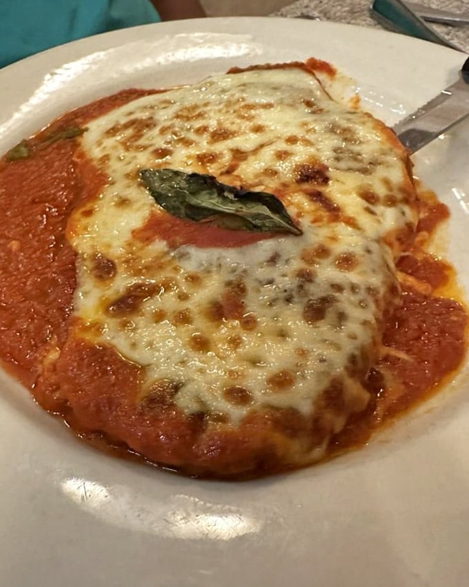 Chicken parmigiana with cheese melted so perfectly, it should be studied by physicists. That basil leaf is the crown jewel.