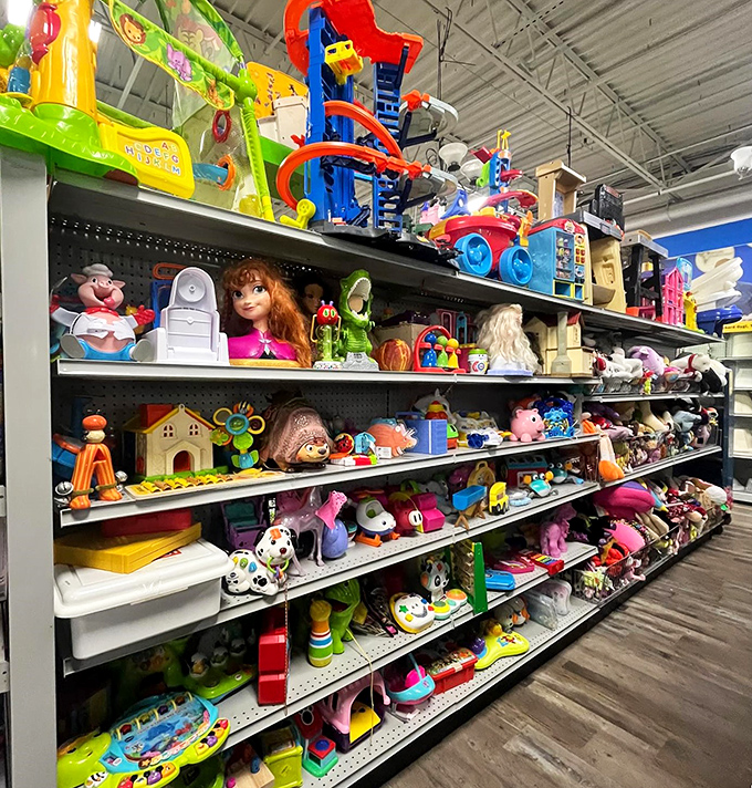 The toy section resembles a colorful time machine. Spot characters from your childhood nestled beside today's favorites&mdash;nostalgia at bargain prices.
