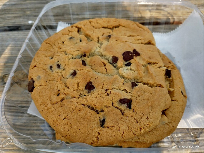 A chocolate chip cookie that looks like it could win a state fair ribbon&mdash;thick, golden, and studded with chocolate like a night sky with stars.