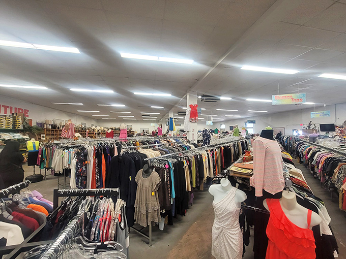 The clothing section stretches to the horizon. Somewhere in this fabric forest lurks a designer gem with your name on it.