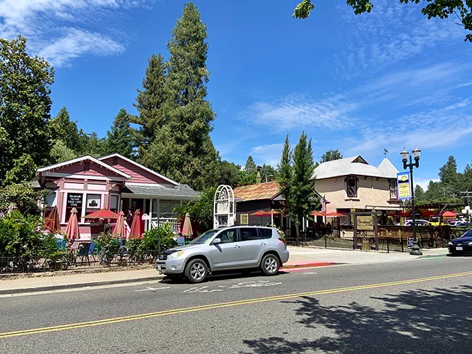 Colorful awnings and historic storefronts create Placerville's distinctive commercial blocks, where shopping local isn't trendy&mdash;it's tradition.