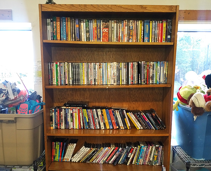 The DVD section: where cinephiles can rebuild their physical media collection after rashly purging everything for streaming services.