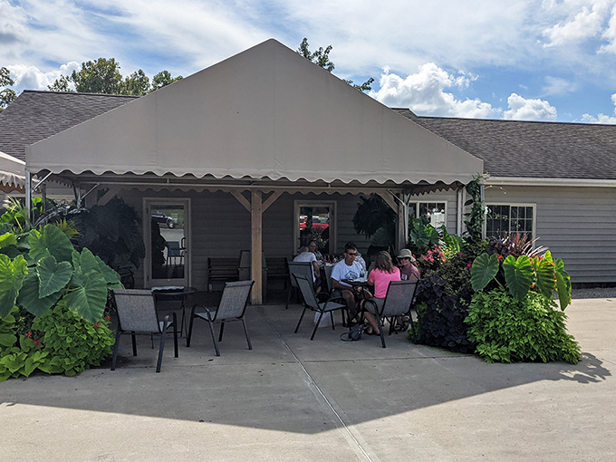 The covered patio at Country Crust: where strangers become friends united by the universal language of "mmmmm" and "you have to try this."