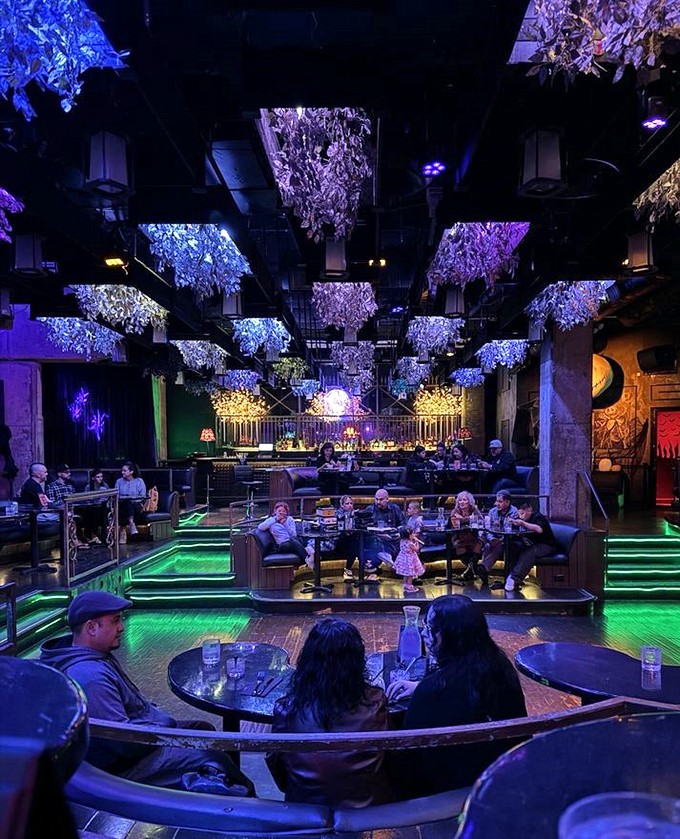 Diners become part of the show, surrounded by atmosphere that makes every meal memorable.