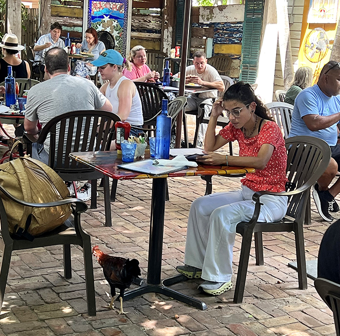 At Blue Heaven, even the chickens know they've found paradise, strutting between tables like they're auditioning for a Florida tourism commercial.