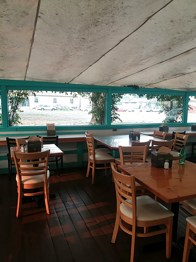 Sunlight filters through turquoise-framed windows, turning an ordinary lunch into the kind of memory that makes you smile years later.