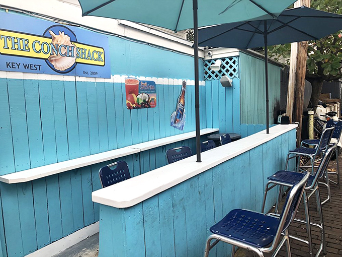 Those bar stools have supported countless happy customers and heard more fish tales than a maritime museum.