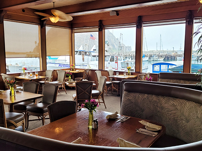 Floor-to-ceiling windows frame the harbor view, turning every table into front-row seats for nature's daily show.
