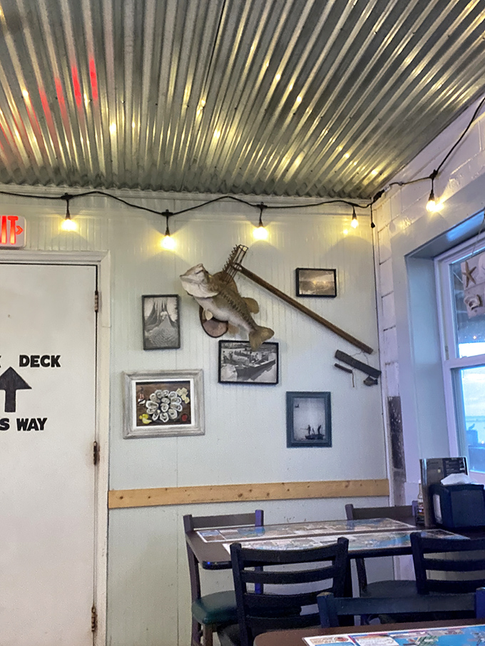 Mounted fish and fishing photos tell the story of Apalachicola Bay's heritage better than any museum exhibit could.