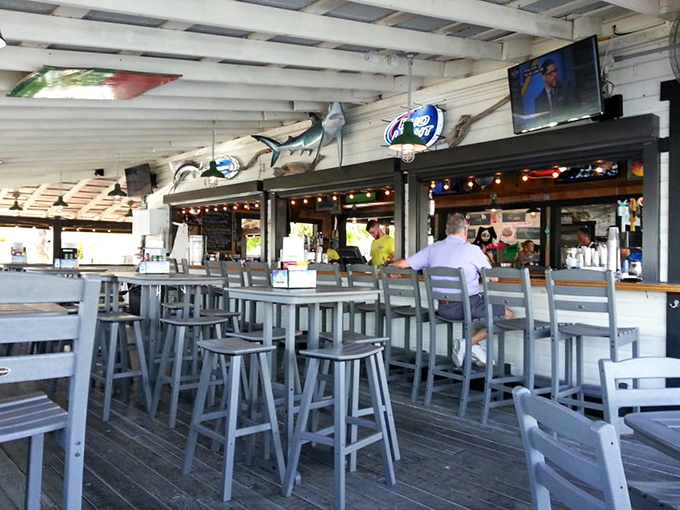 The dining room buzzes with that perfect restaurant energy where good food meets even better conversations.