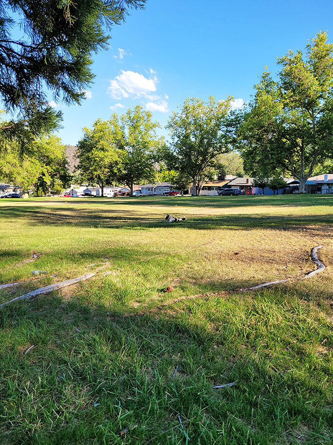 Discovery Park offers green space where families can spread out without entrance fees.
