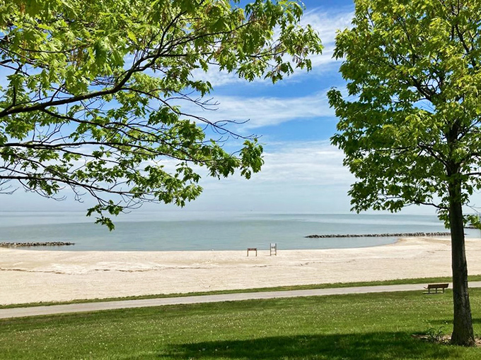Framed by leafy branches, this slice of beach paradise reminds us that sometimes the best views come with natural window dressing.