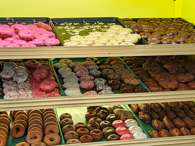 The display case&mdash;a museum of donut artistry where decisions become impossible and "I'll take one of each" becomes a reasonable request.