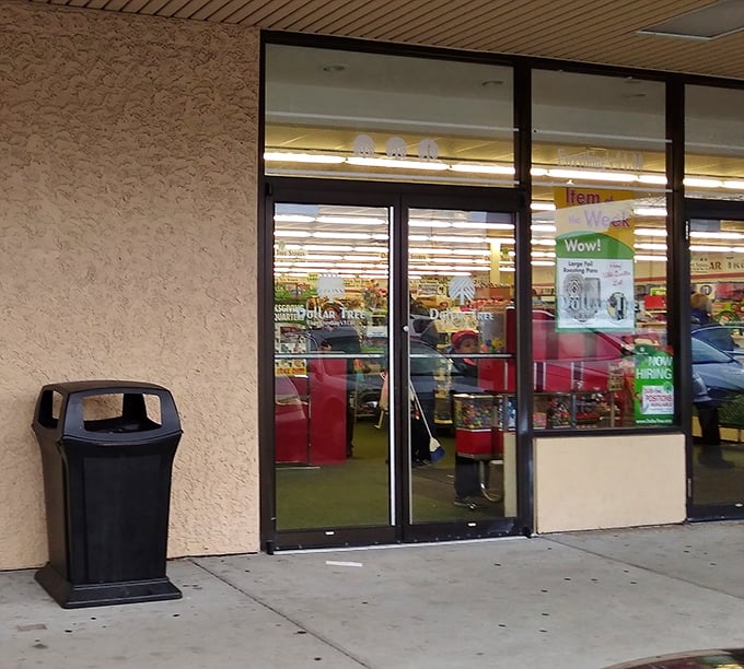 The portal to penny-pinching paradise. These doors have witnessed countless shopping lists abandoned for impulse buys.