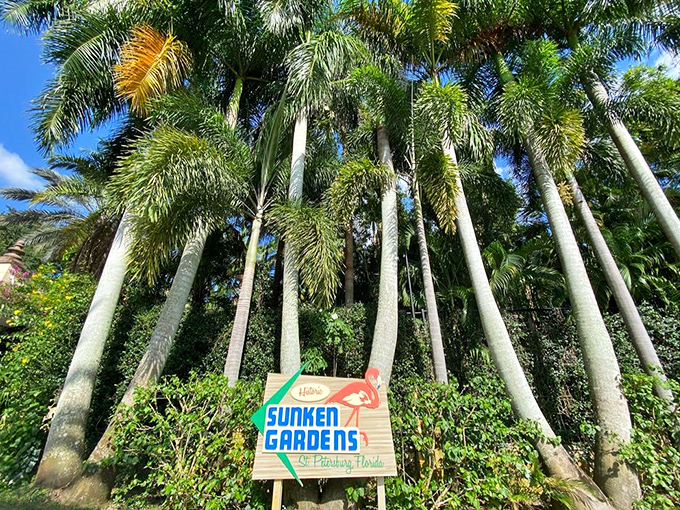 The gateway to wonder, where ordinary sidewalks end and botanical magic begins below street level.