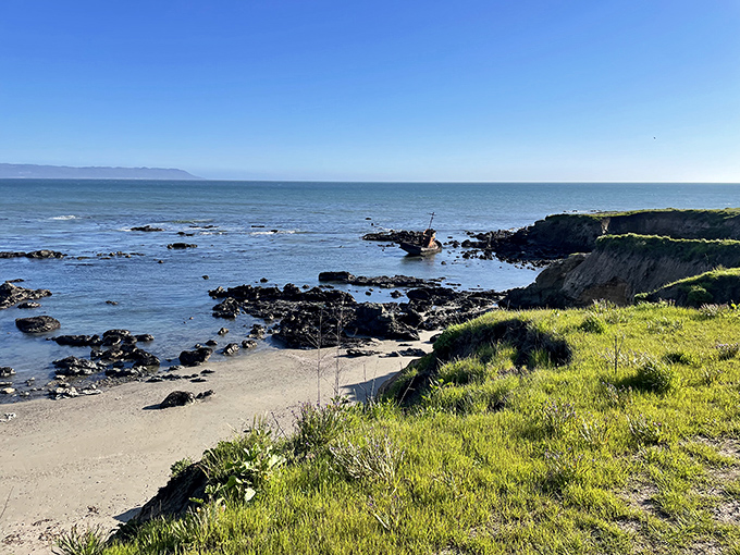 Estero Bluffs State Park offers the kind of rugged, untamed coastline that makes you feel like you've discovered something secret, even though it's on the map.