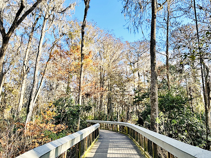 When autumn kisses Silver Springs, the reflections double the beauty. Like getting two seasons for the price of one!